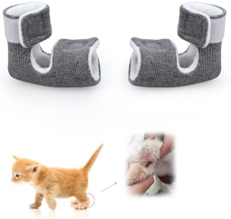 Amazon.com : vomvomp 1 Pair Cat Hock Socks for Kitten Sore Hocks Ankle ...