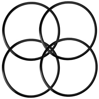 Amazon.com: WS03X10039 Water Filter O-Ring Replacement Set, 4-Pack ...