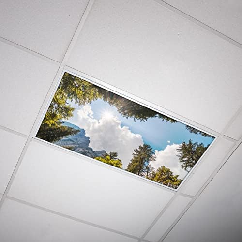 Forest Canopy View - 2ft x 4ft Drop Ceiling Fluorescent Decorative ...