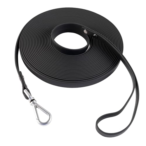 Dog Long Line – The 15 best products compared - Wild Explained