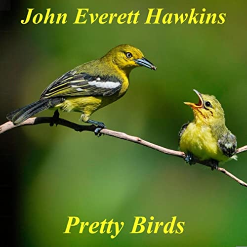 Spiele Pretty Birds von John Everett Hawkins auf Amazon Music ab