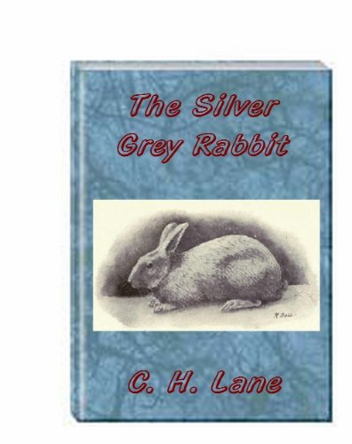 The Silver Grey Rabbit - Kindle edition by C.H. Lane. Professional ...