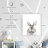 Designs by Maria Inc. Set of 6 UNFRAMED Animal Posters | Watercolor ...
