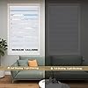 Amazon.com: Changshade Blackout Cordless Zebra Blinds for Indoor Windows, Custom Zebra Roller ...