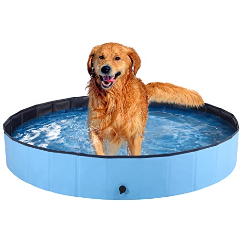 Making a Splash: Dive into the Top 10 Pet Pools for Summer Fun - Furry ...