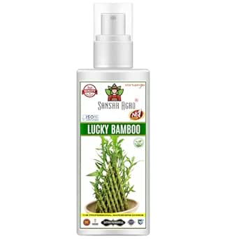 Sansar Agro® Garden Lucky Bamboo Spray, Premium Essential Liquid Spray ...