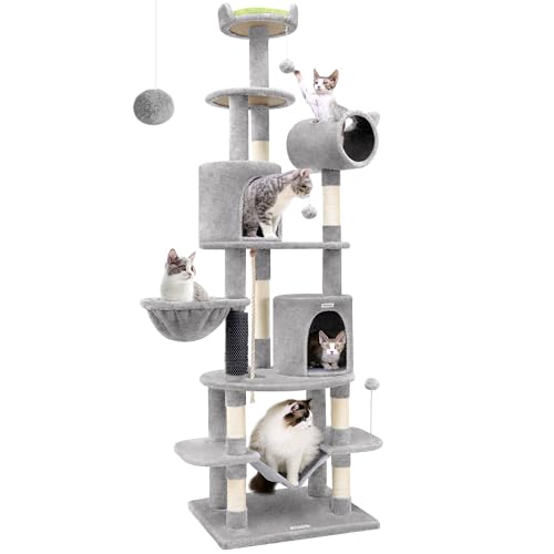 Tall Cat Tree – The 15 best products compared - Wild Explained