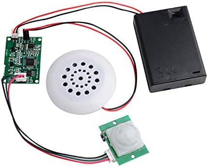 Amazon.com: Voice/MP3 Record and Playback Board Kit for STEM and DIY ...