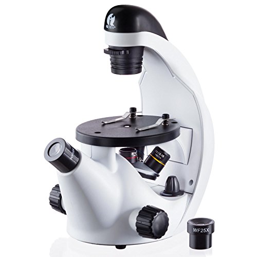 Best Inverted Microscopes for Advanced Research.