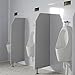 Amazon.com: Urinal Screen Toilet Partition, Public Health Partition Urinal Privacy Screen, Floor ...