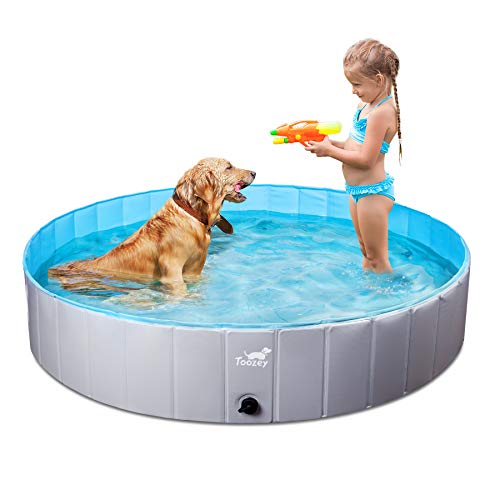 Top 10 Best Dog Slide For Pool : Reviews & Buying Guide - Katynel