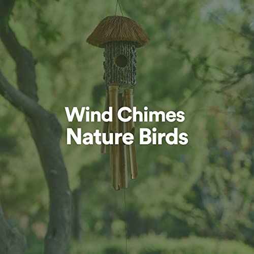 Outdoor Layers song by Nature Sounds Nature Music from Wind Chimes ...