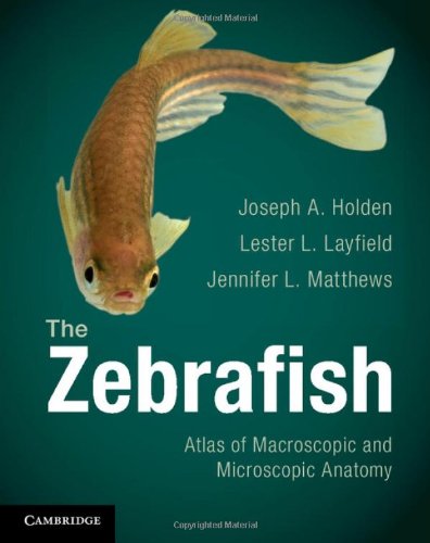 The Zebrafish: Atlas of Macroscopic and Microscopic Anatomy | Amazon.com.br