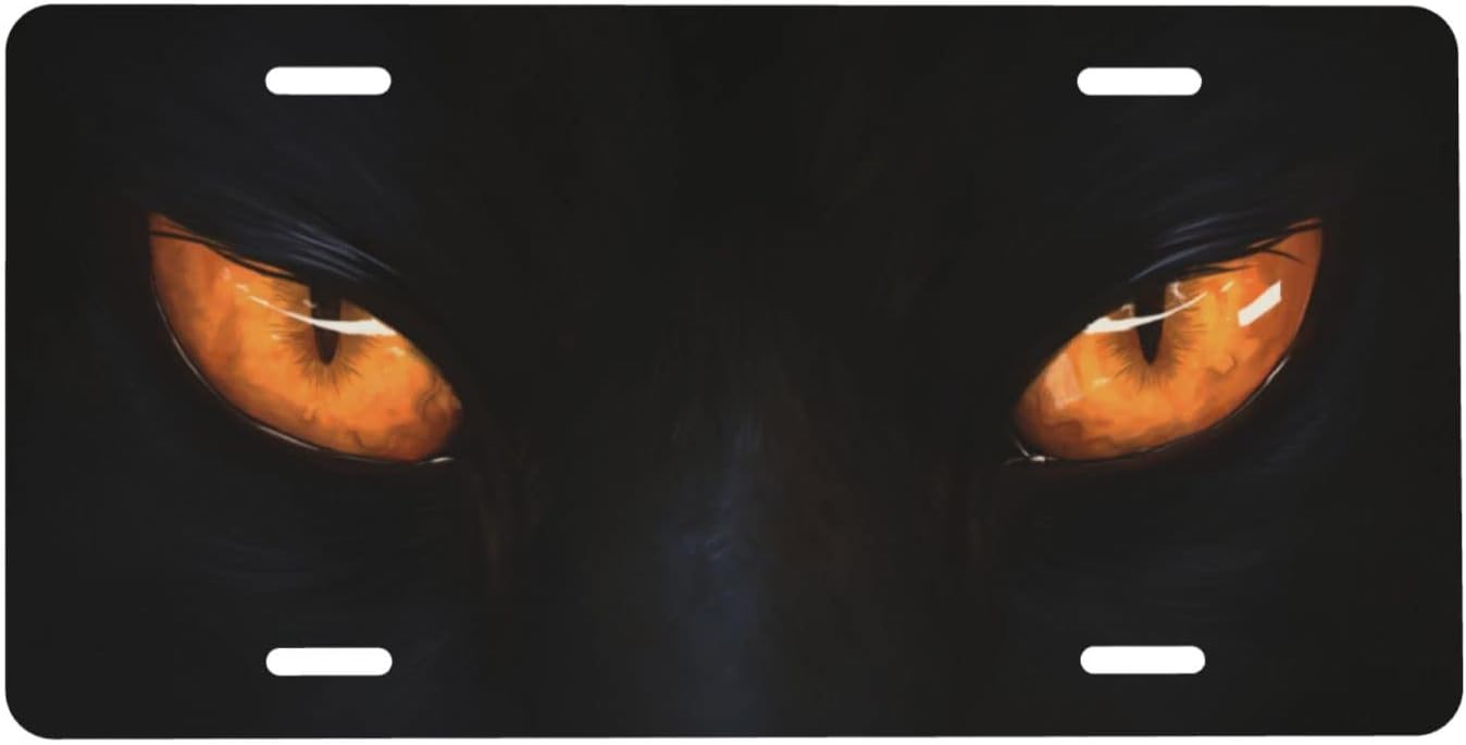 Amazon.com: Black Cat Eyes License Plate Car Front Metal Aluminum ...