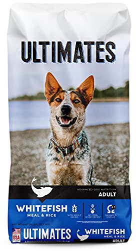 Discover the Ultimate Dog Food: 10 Best Products Reviewed and Compared ...
