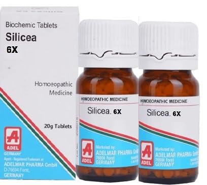 Buy Silicea 6X 20GM Adel (Pack Of 2) Online at Low Prices in India ...