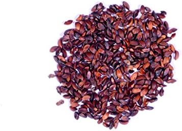 Cloud Farm Amla/Amlaki/Indian Gooseberry (Big Fruit, Grown Through ...