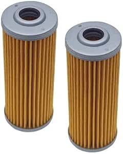 MOWFILL 2 Pack MIU804763 Fuel Filter Replace John Deere M801101 CH10479 ...