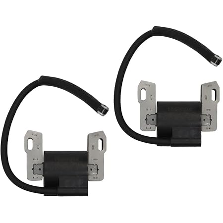 Amazon.com: Nakkaa 2PCS 592846 Ignition Coil Module Replacement for ...