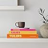 Amazon.com: Beautiful Decorative Books Set of 3 - Preppy Room Decor ...
