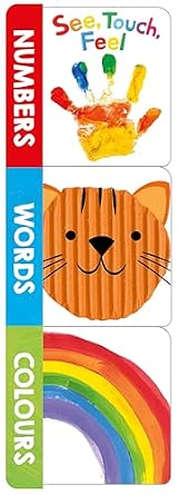 See, Touch, Feel Words, Numbers, Colours (Chunky Set): With 3 mini ...