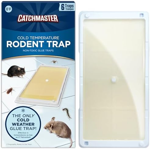 Amazon.com : Catchmaster Cold Weather Glue Traps 6PK Mouse Traps Indoor ...