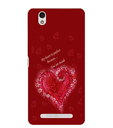 Printvisa Designer Back Case Cover for Gionee F103 (Ayyappa Sabarimalai ...