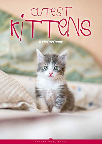 Cutest Kittens: A Picture Book eBook : Melville, Harley: Amazon.co.uk ...
