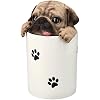 Amazon.com: Pacific Giftware Pug Figure as a Treat Box - Storage for ...
