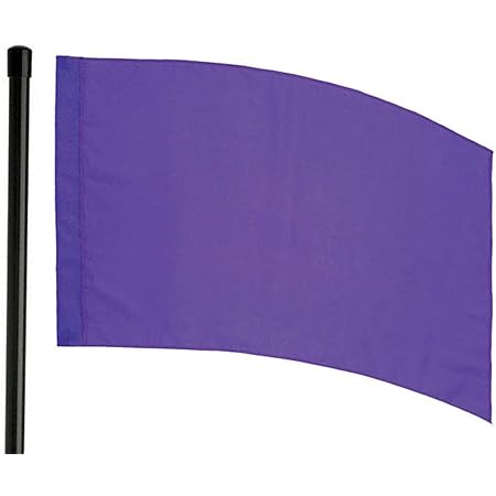 Amazon.com : DSI 6 Foot Black Flag Pole and Color Guard Flag Bundle ...