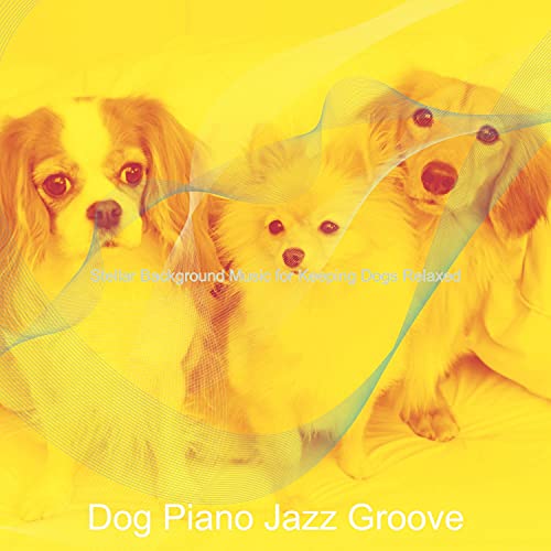 Play Stellar Background Music for Keeping Dogs Relaxed by Dog Piano ...