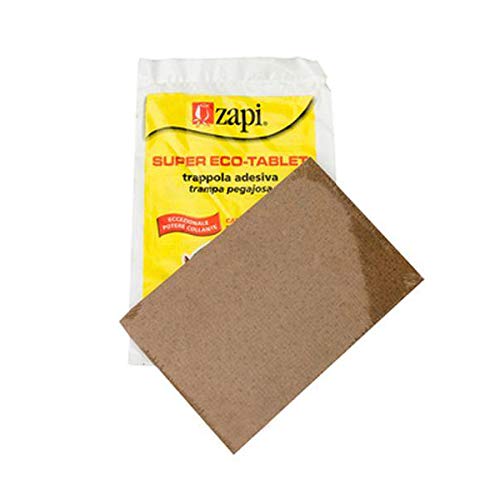 El mejor veneno para ratas (potente y eficaz) - Mi Hogar