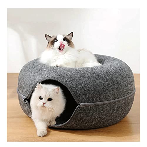 Find Your Perfect Hide and Seek Bed: Top 10 Products Reviewed and ...