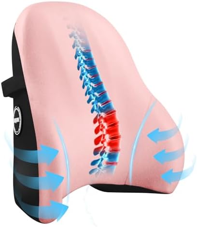Amazon.com: Lumbar Support Pillow for Office Chair, Car Lumbar Pillow ...