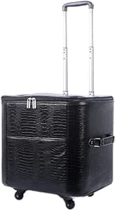 Amazon.com: Edgerr P60921 Case Deluxe Hardside Spinner Roller Bag ...