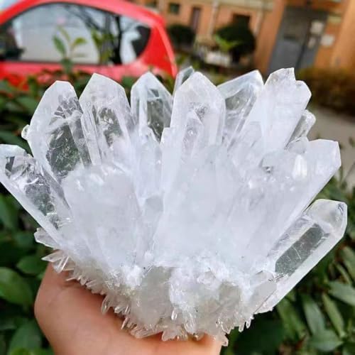 Amazon.com: JIC Gem Natural White Quartz Crystal Cluster Geode Druzy ...