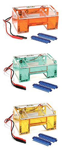 Amazon.com: Gel - B1 Mini (9x11cm) Gel System w/1.5 mm Thick Combs, EA1 ...