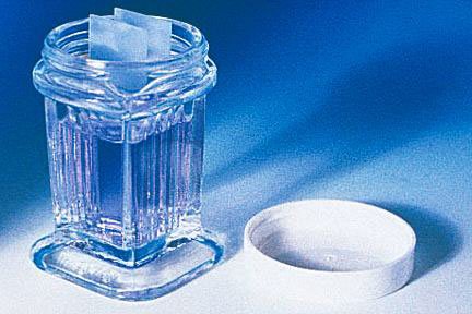 Wheaton Glass Staining Dish for 10 Slides, Jar Staining 10 Slide 6/cs ...