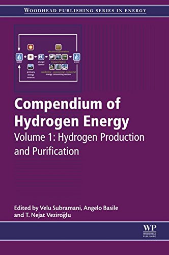 Amazon.com: Compendium of Hydrogen Energy: Hydrogen Production and ...