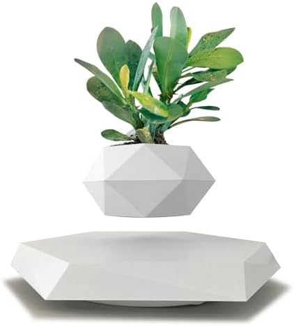 Amazon.com : INOVAXION Levitating Plant Pot, Floating Plant Pot for ...