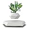 Amazon.com : INOVAXION Levitating Floating Plant& Flower Pot, Magnetic ...