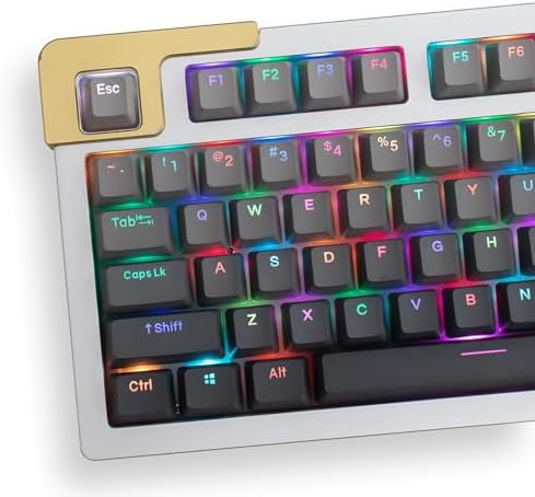 Sumgsn Shine Through Keycaps 123 Keys PBT Double Shot Gradient Gary ...