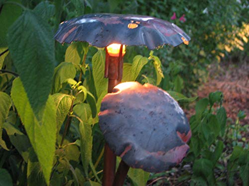 Amazon.com: Double PathShroom Outdoor Copper Low Voltage Light ...