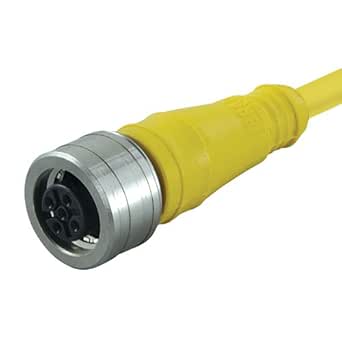 Brad W03000K05M020 Ultra-Lock Single-Ended Cordset, Female Straight, 3 ...