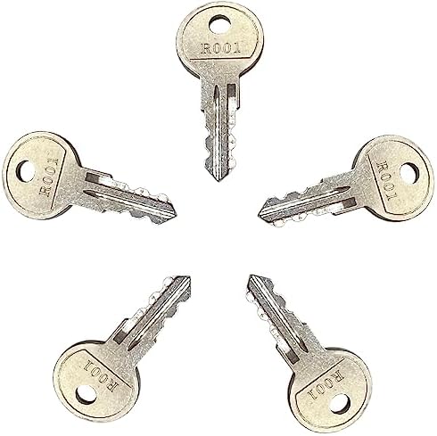 Amazon.com: Neeseelily R001 Key 4Pcs R001 RV Keys 230012 Compatible ...