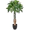 Amazon.com: 3FT Fake Money Tree Plant Indoor Potted Plants Artificial ...