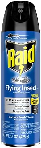 Amazon.com : Raid Flying Insect Killer,15 Ounce (Pack of 4) : Patio ...