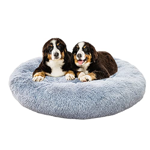 Die 15 besten runden Hundebetten im Überblick – Ratgeber