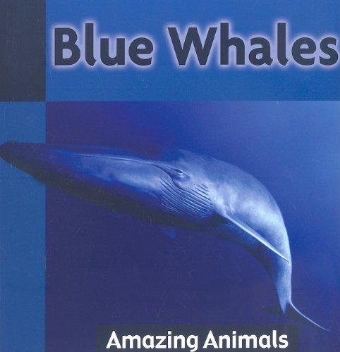 Blue Whales (Amazing Animals): Royston, Angela: 9781605961491: Amazon ...