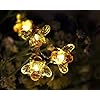 Amazon.com : WSgift Honeybee Decorative String Lights, 18.7 Ft 40 LED ...
